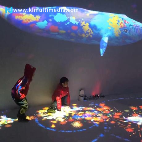 Immersive Projection - Immersive Experience